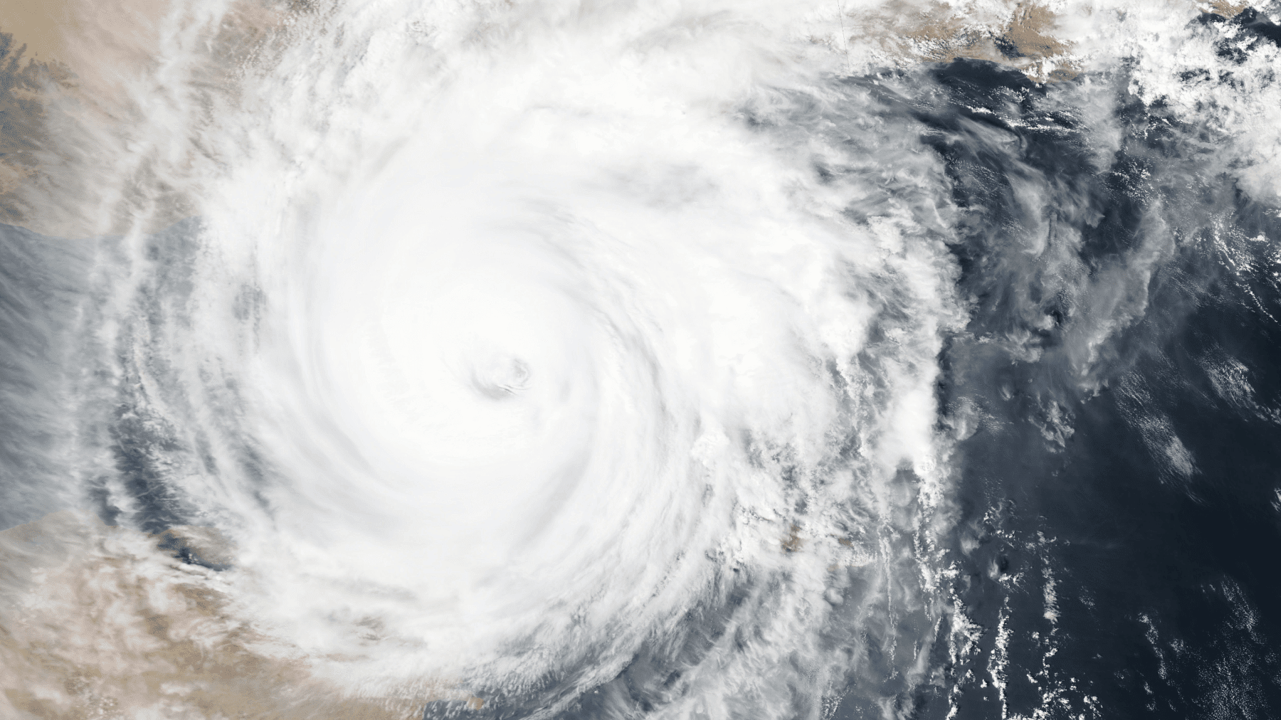 What is a carrier? | project44